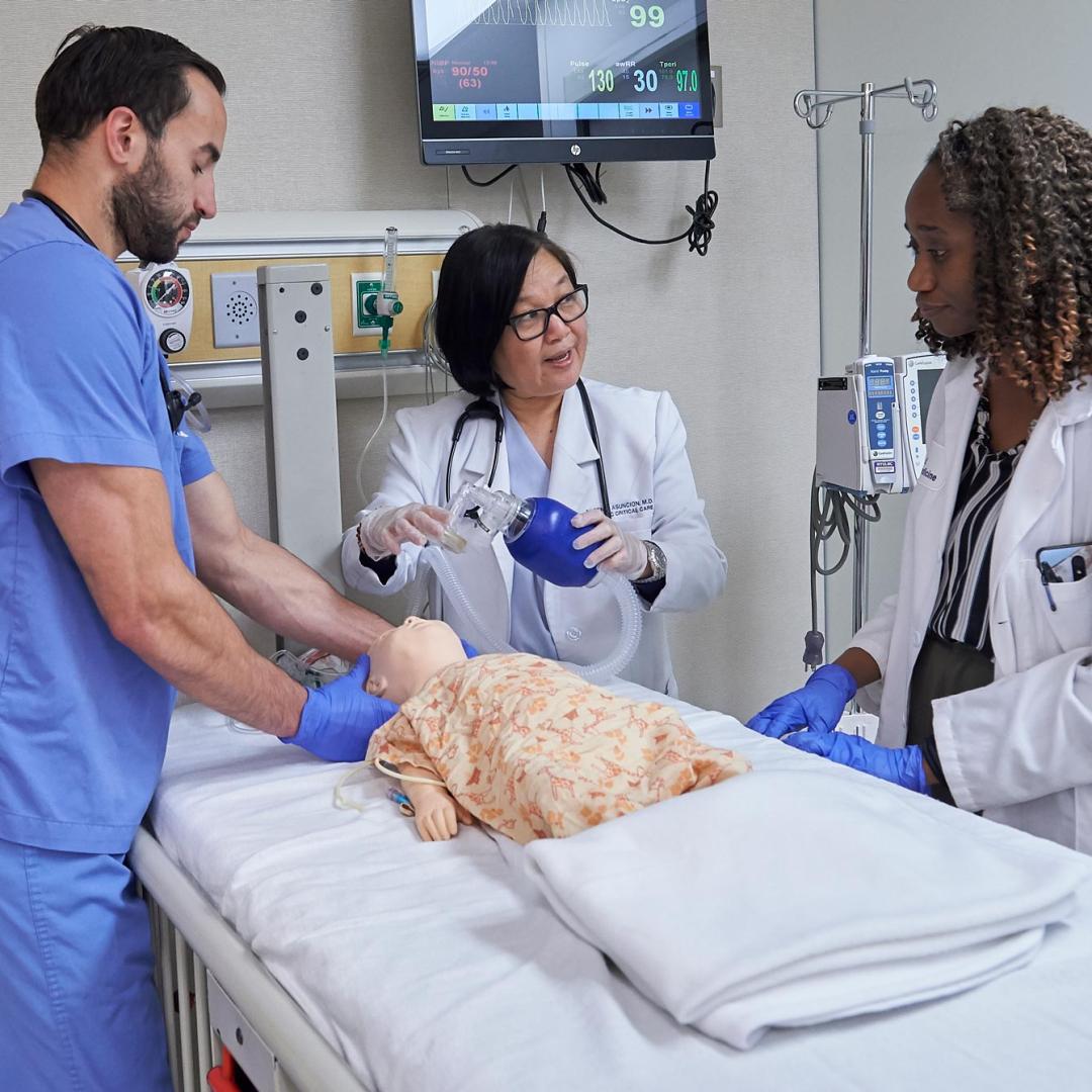 Department of Pediatrics | NYU Grossman Long Island School of Medicine ...