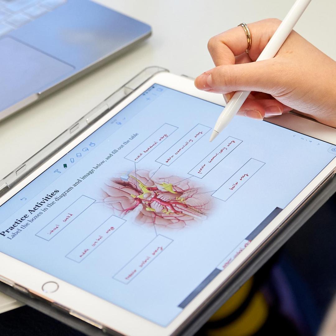 MD Degree | NYU Grossman Long Island School of Medicine | NYU Langone ...