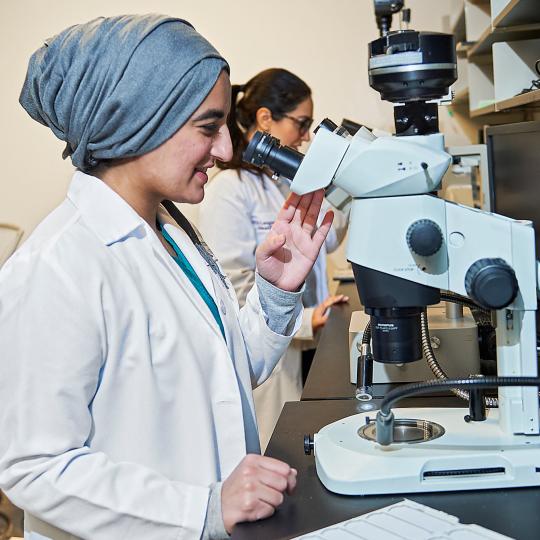 MD Degree | NYU Grossman Long Island School of Medicine | NYU Langone ...