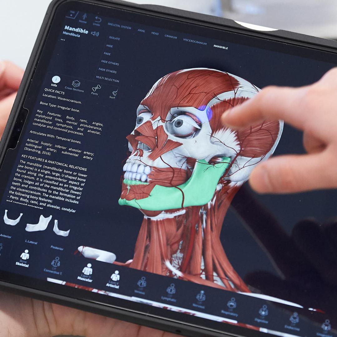 NYU Grossman Long Island School of Medicine Alumni | NYU Grossman Long ...