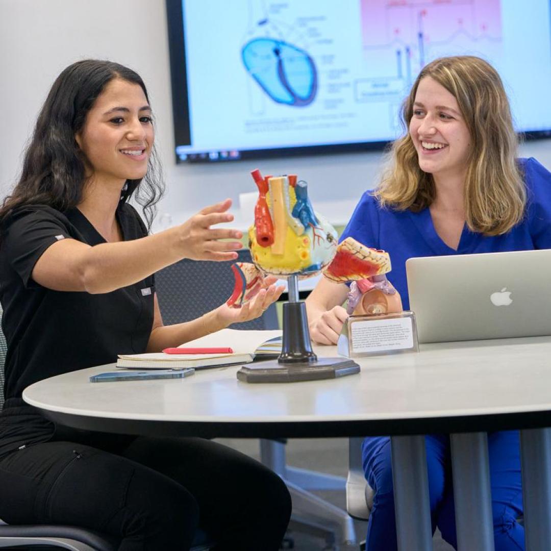 NYU Grossman Long Island School of Medicine | NYU Long Island School of ...