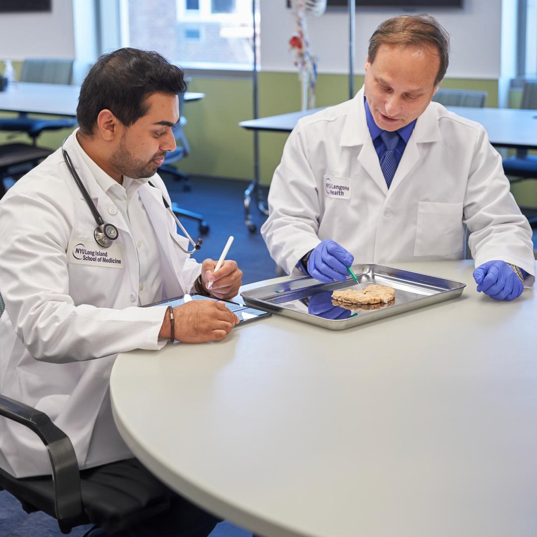 Life as an MD Student | NYU Grossman Long Island School of Medicine ...