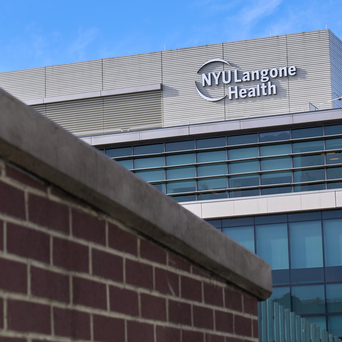 Life at NYU Grossman Long Island School of Medicine | NYU Grossman Long ...